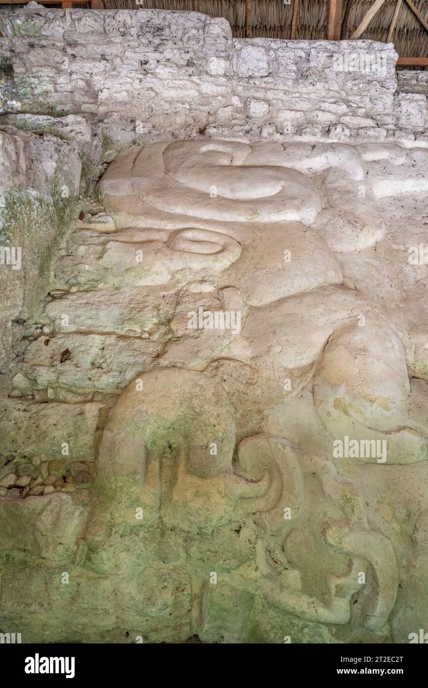 Sculpted stucco frieze on Structure 136 in the North Acropolis in the ...