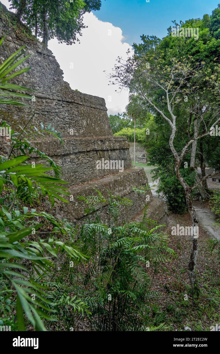 View of the terraced side of Structure 216 in the Mayan ruins in Yaxha ...