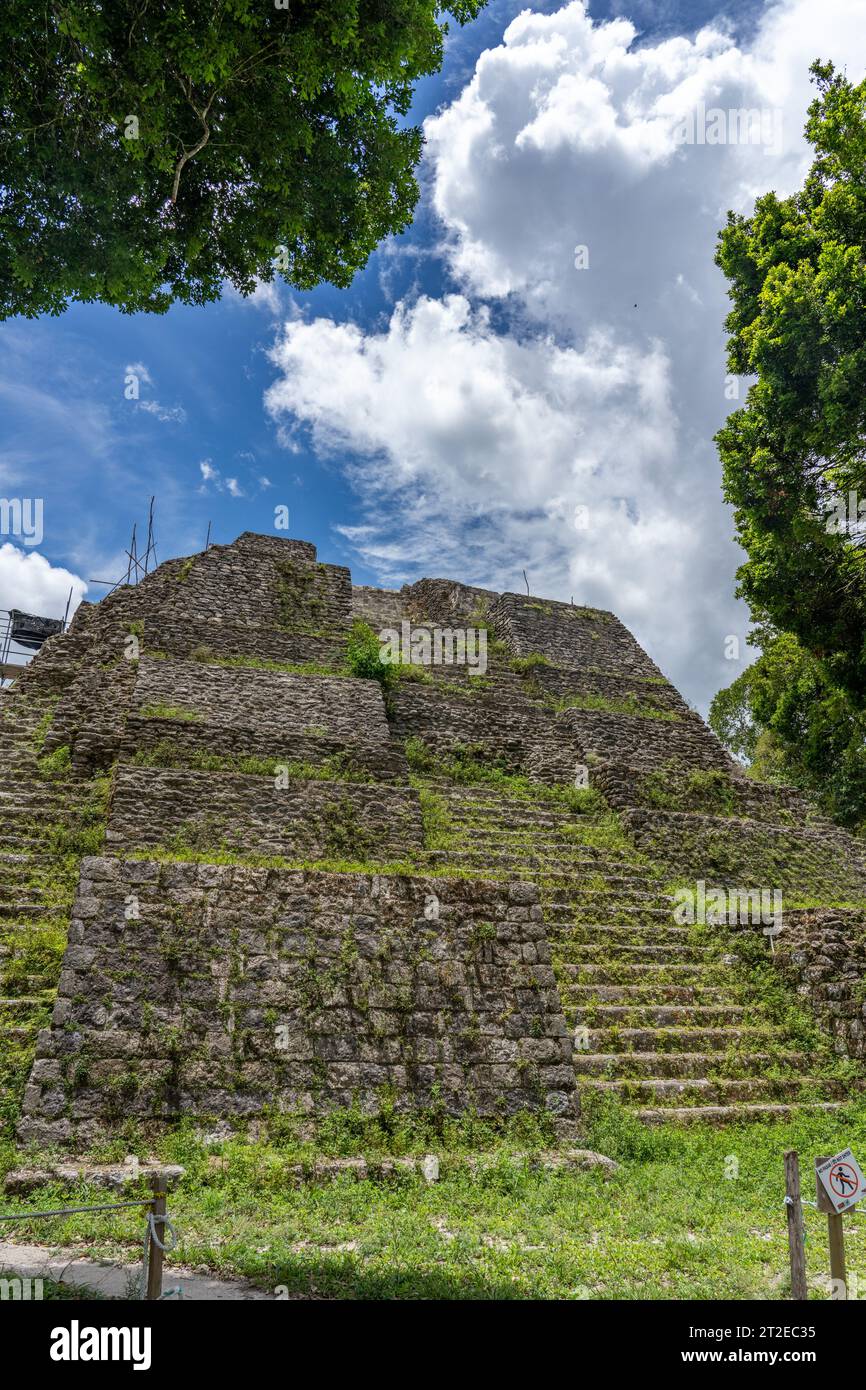 Structure 137, a temple pyramid in the North Acropolis in the Mayan ...