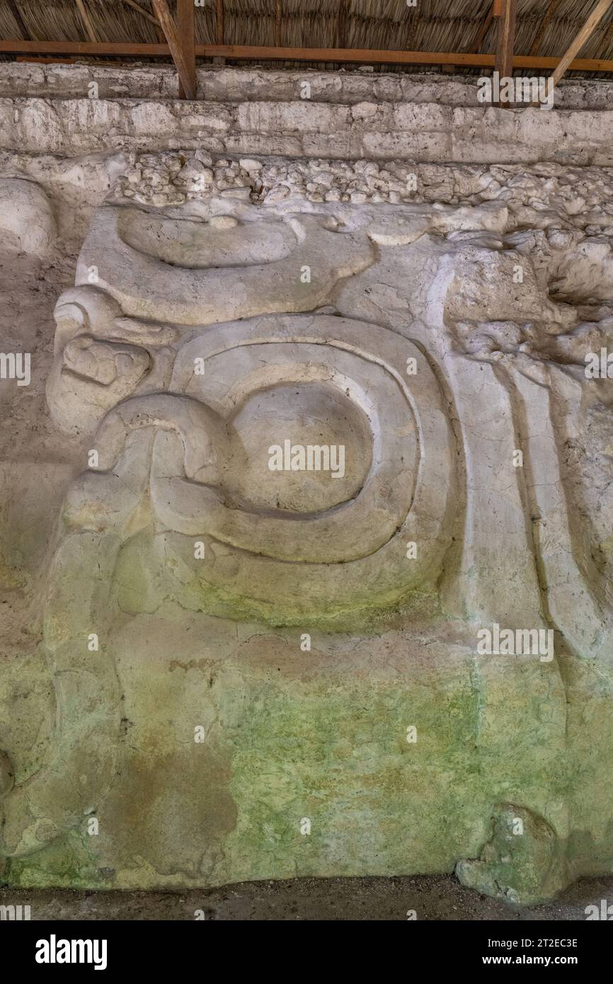 Sculpted stucco frieze on Structure 136 in the North Acropolis in the ...