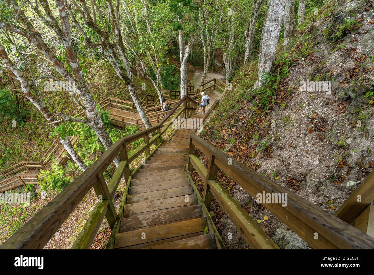 A tourist & guide descend the stairs of Structure 216 in the Mayan ...