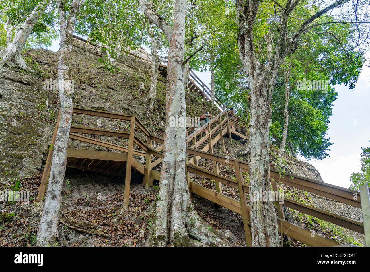 Tourists climb the stairs to the top of Structure 216 in the Mayan ...