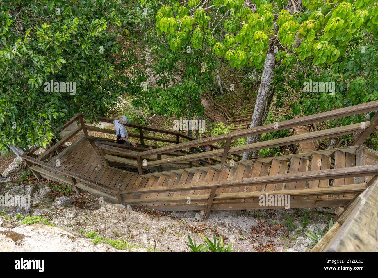 A tourist descends the stairs of Structure 216 in the Mayan ruins in ...