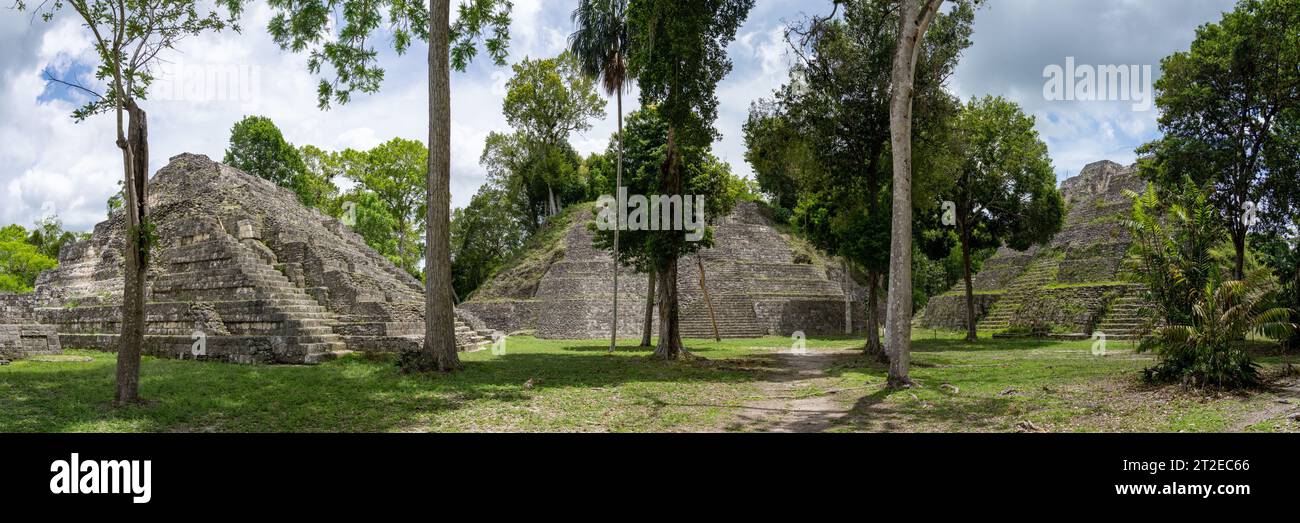 Structures 144, 142 & 137, temple pyramids in the North Acropolis in ...