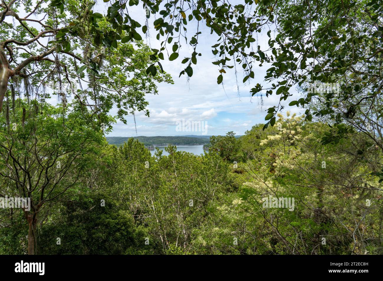 View of Lake Yaxha from the top Structure 117 in the Mayan ruins in ...
