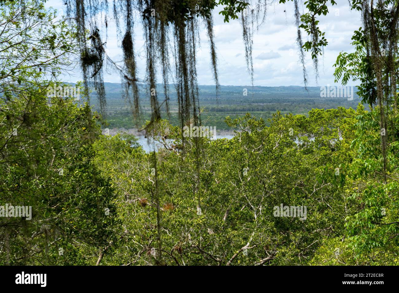 View of Lake Yaxha from the top Structure 117 in the Mayan ruins in ...