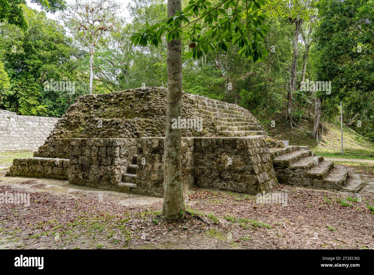 Structure 395 of Ballcourt 1 in the South Acropolis of the Mayan ruins ...