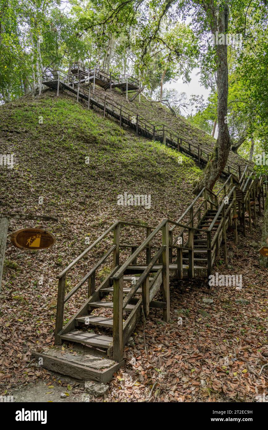 Unexcavated stairway hi-res stock photography and images - Alamy