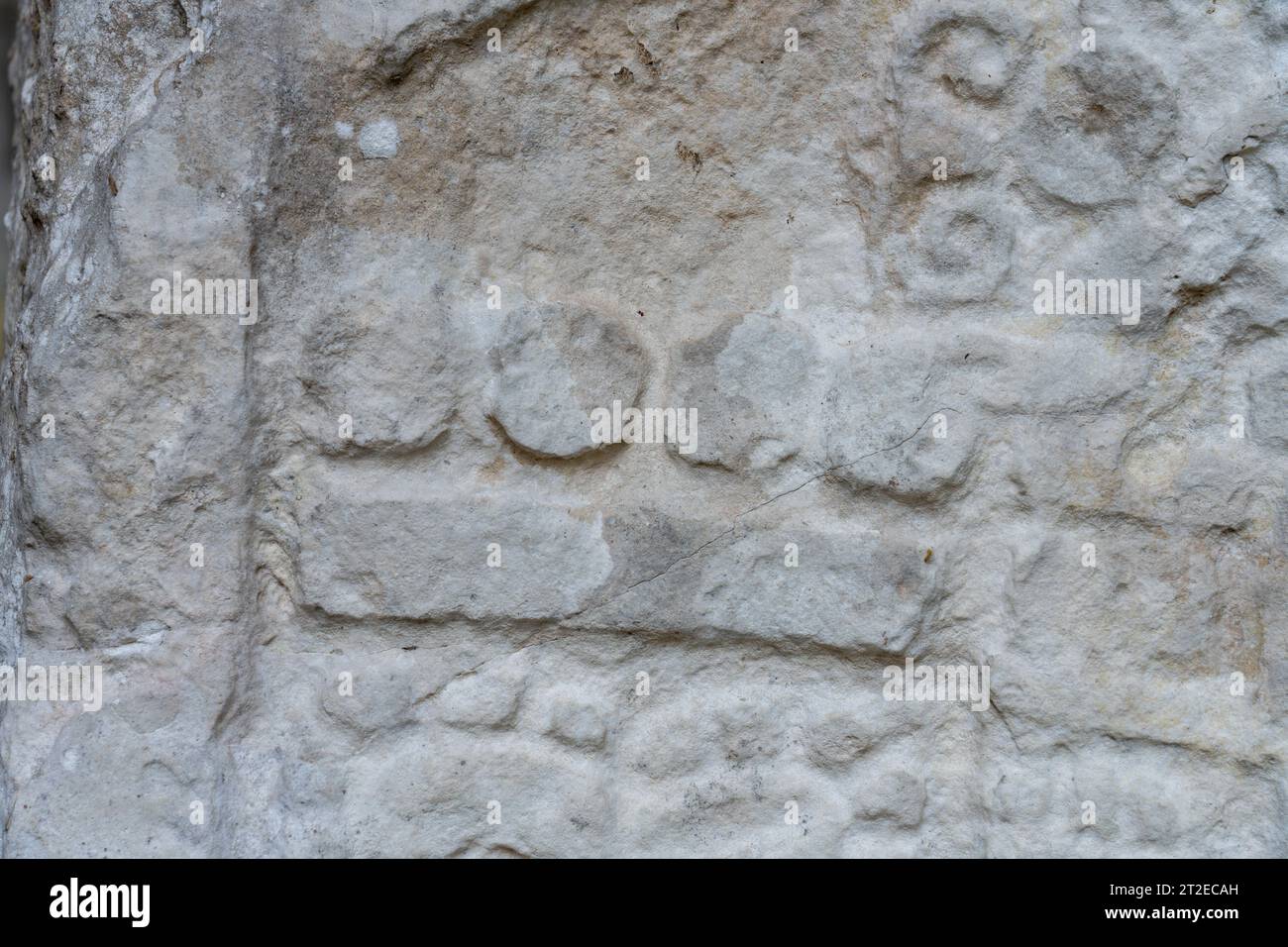Detail of a glyph on Stela 4 in Plaza C of the Mayan ruins in Yaxha ...