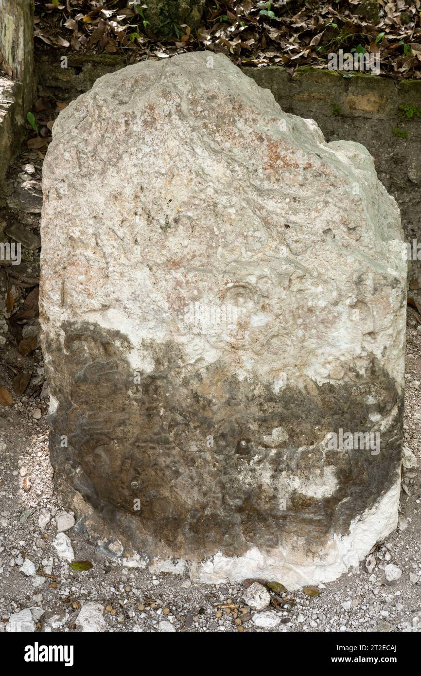 Stela 5 in Plaza C of the Mayan ruins in Yaxha-Nakun-Naranjo National ...