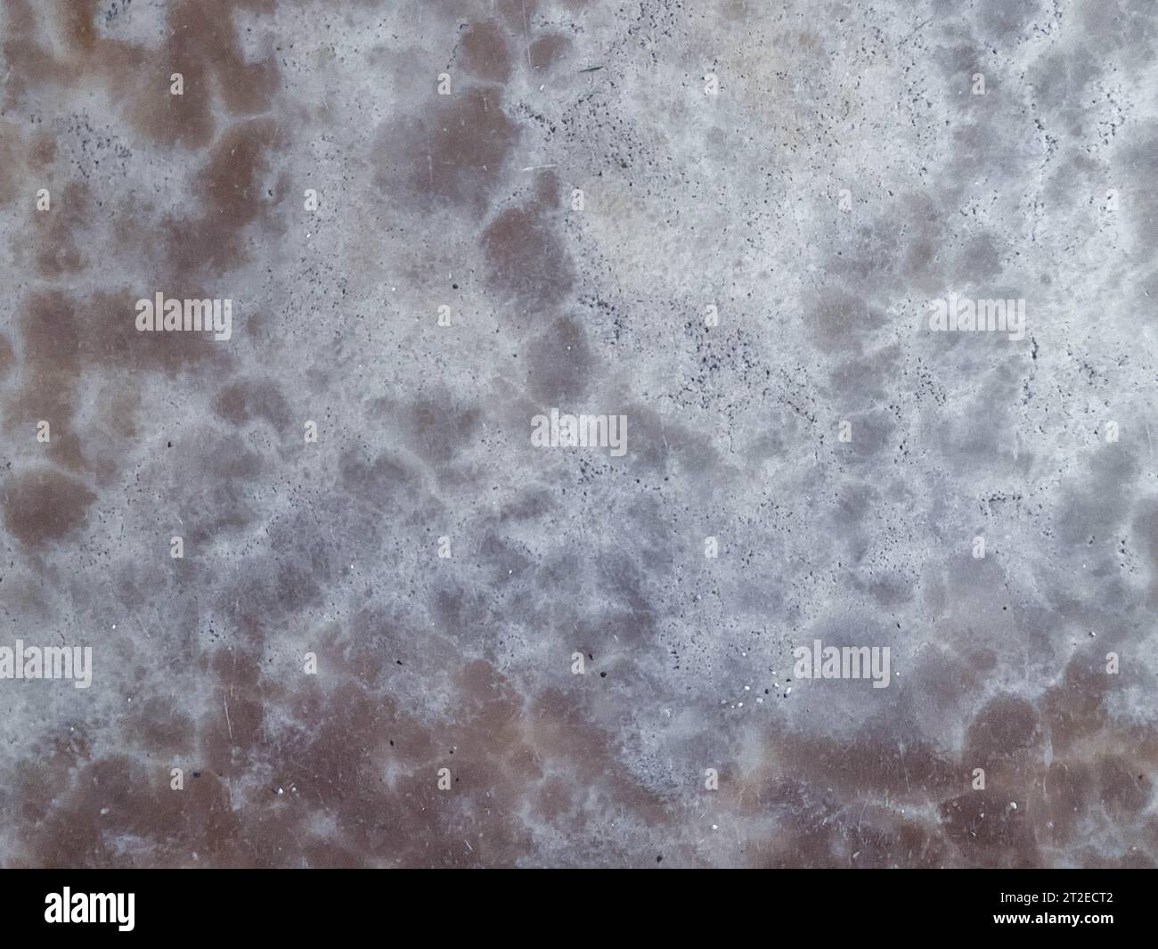 natural texture, mold on the coating. the fungus sprouted in a ...