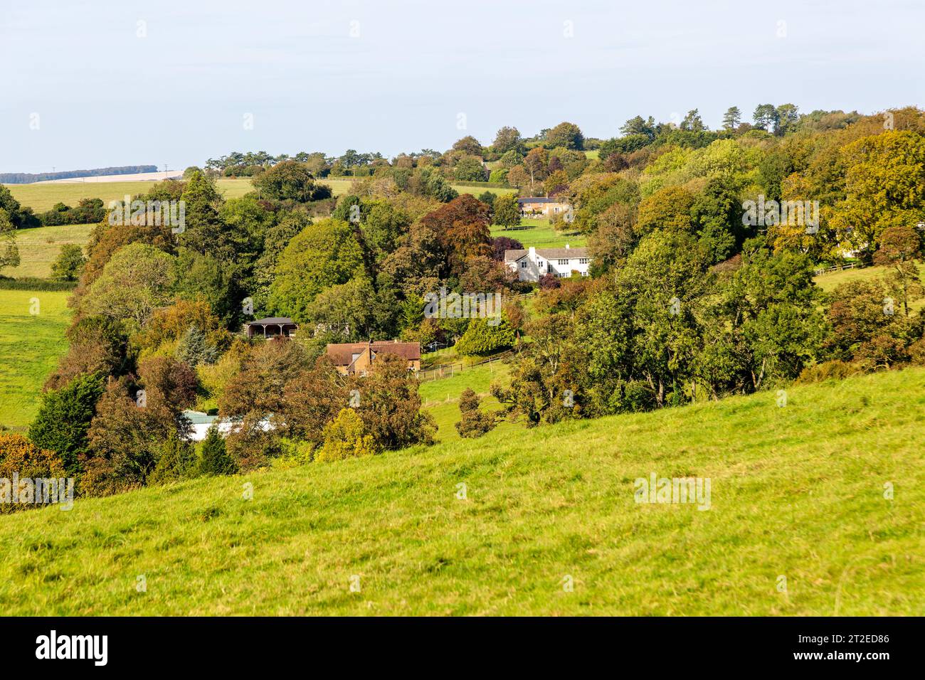Chalk downland scenery near village of Lambourn, Berkshire, England, UK ...