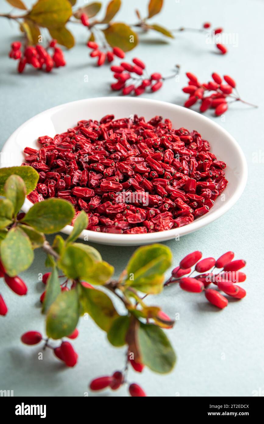 Pile of dried Berberis vulgaris also known as common barberry, European ...