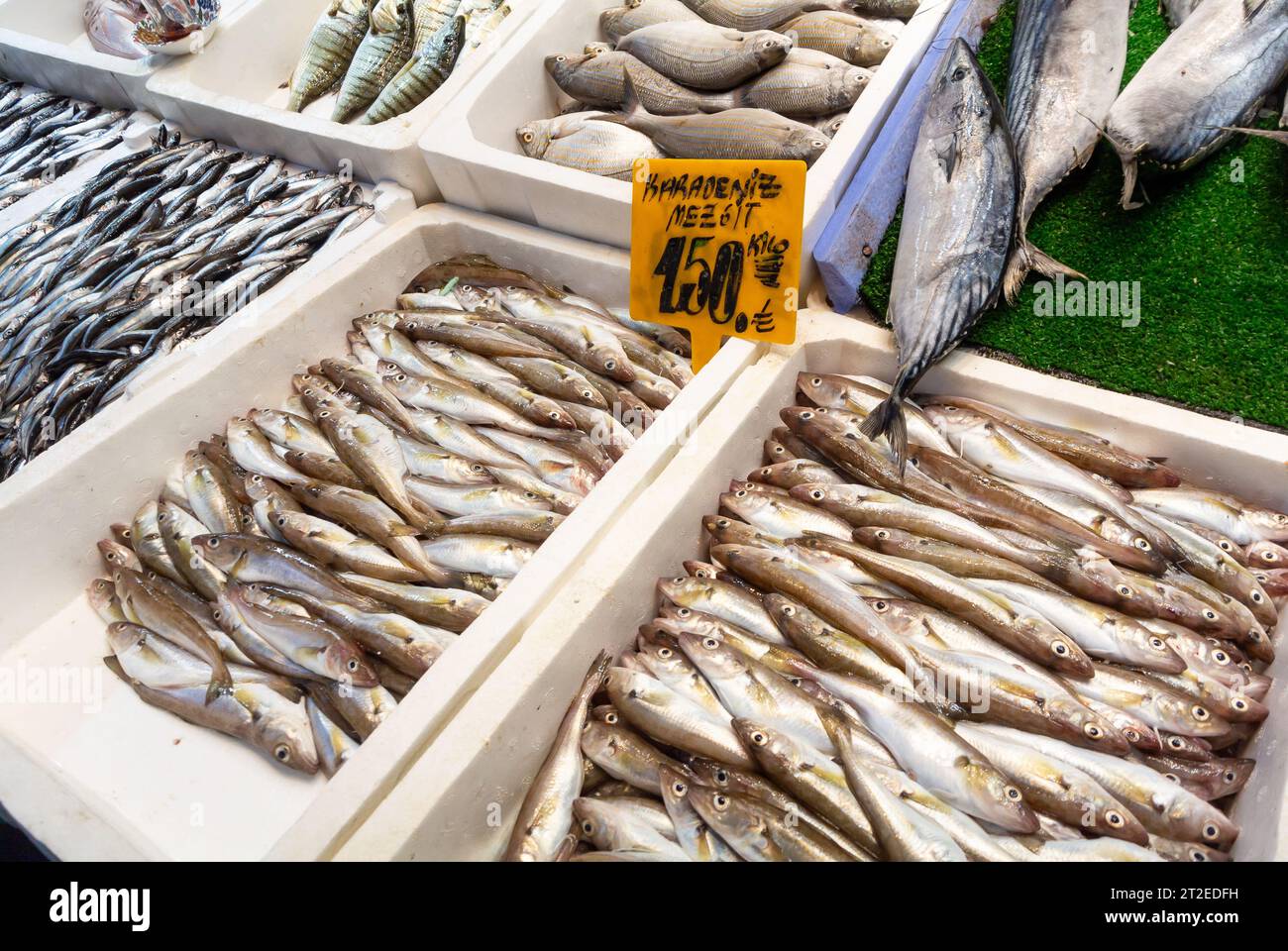 Istanbul, Turkey, A stand at fish market of uskudar (turkish, Üsküdar ...