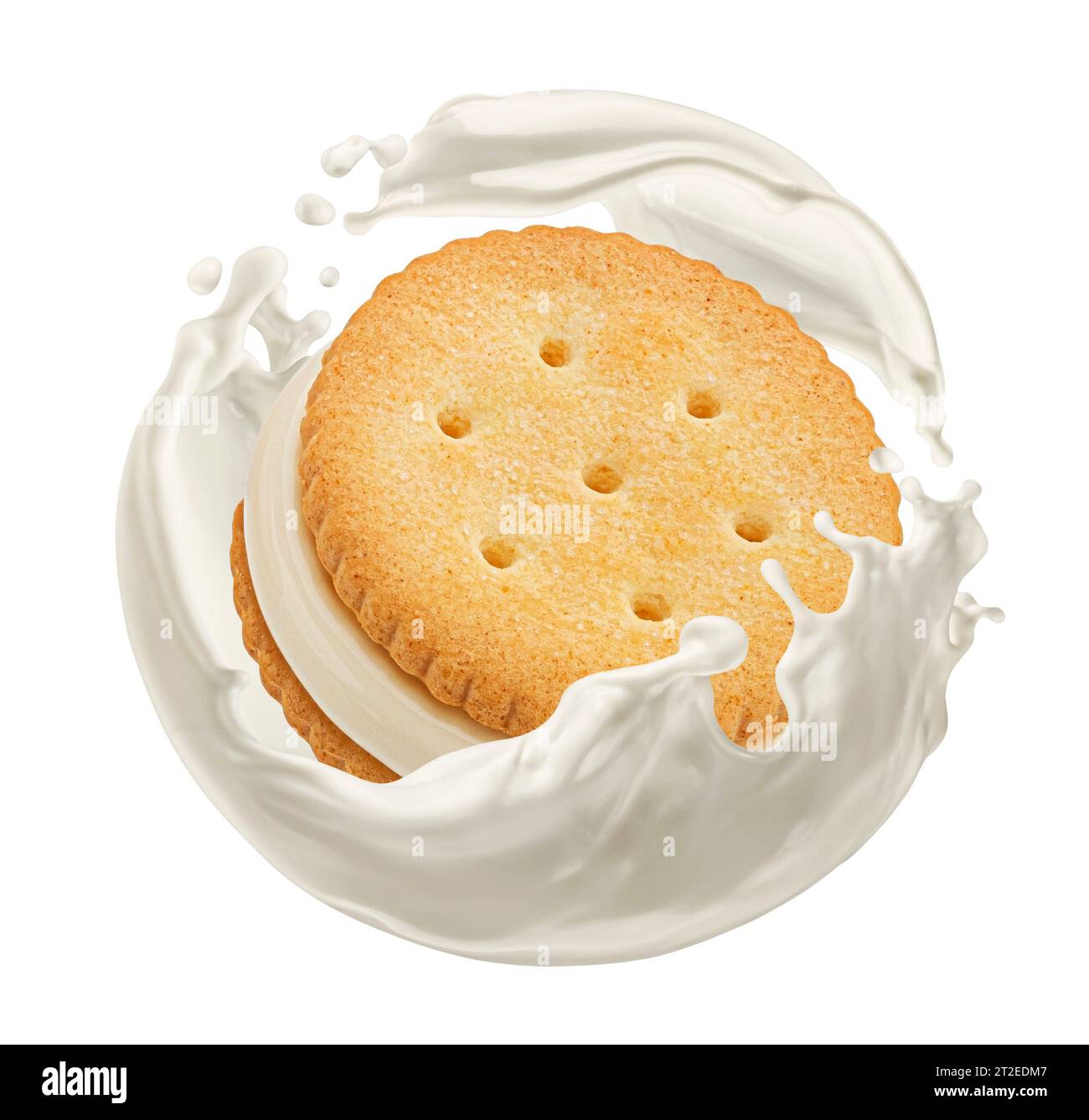 Sandwich cookie falling with milk splash isolated on white background ...