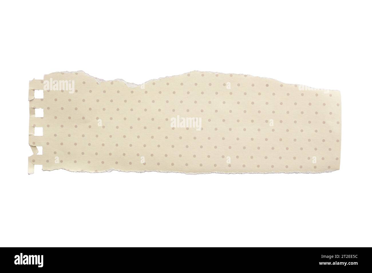 close up of a white ripped piece of paper with copyspace. torn paper ...