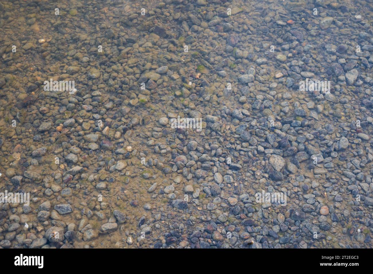 Pebbles and small stones underwater on a riverbed. Top view, polarized ...