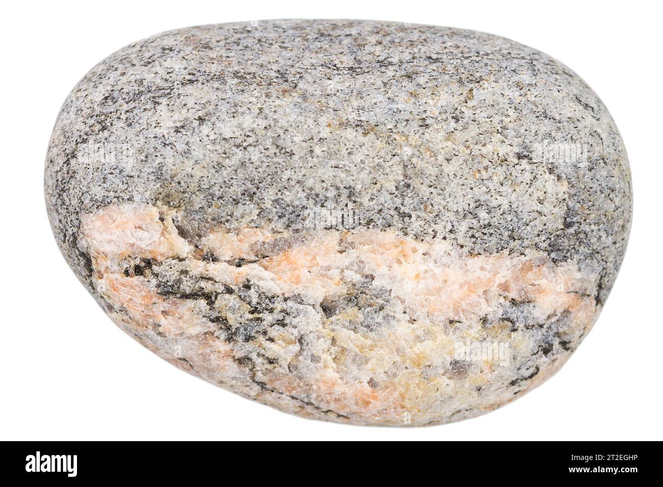 Top view of single gray pebble isolated on white background Stock Photo ...