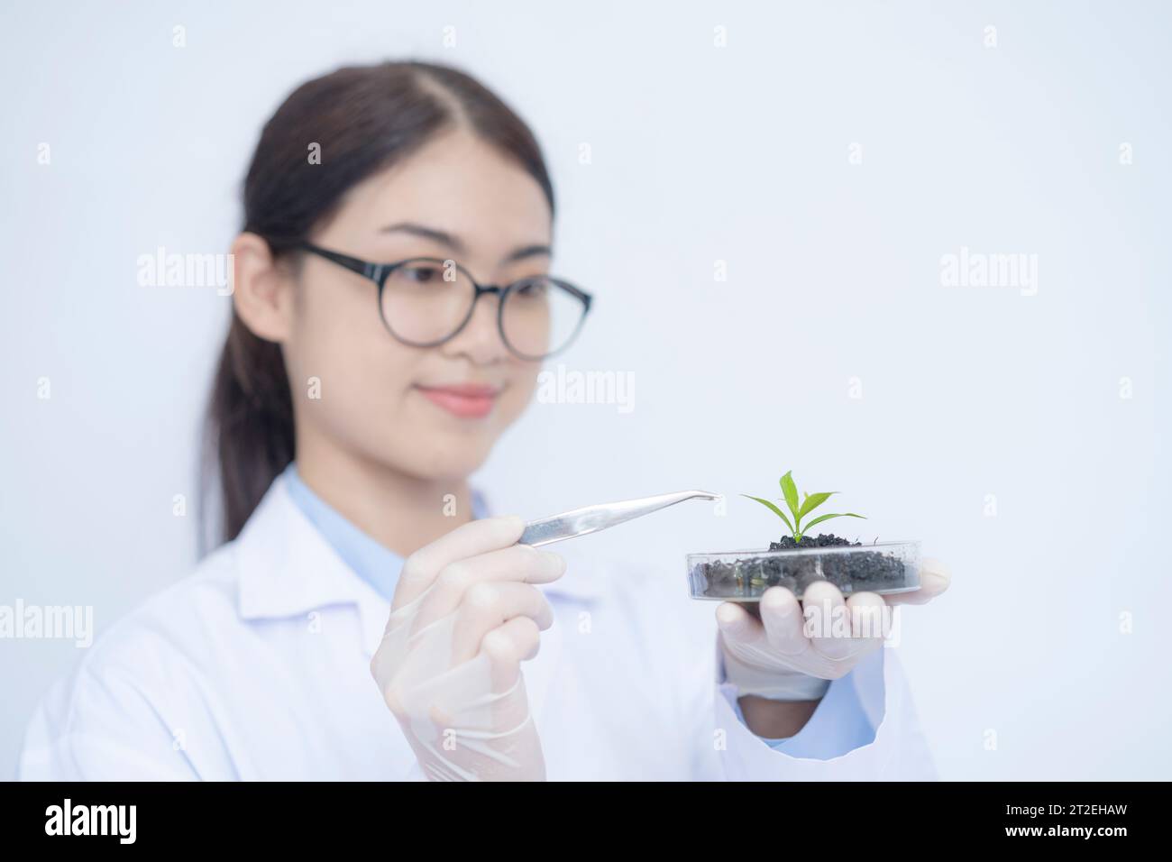 Female scientist at laboratory, Genetic laboratory. Biotechnologist ...