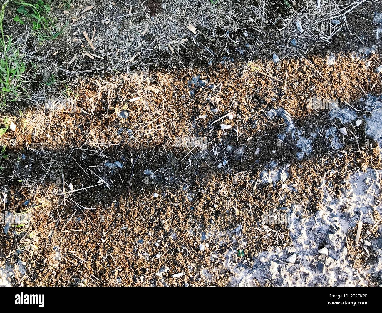 Texture of burnt grass burned with ashes. The background Stock Photo ...