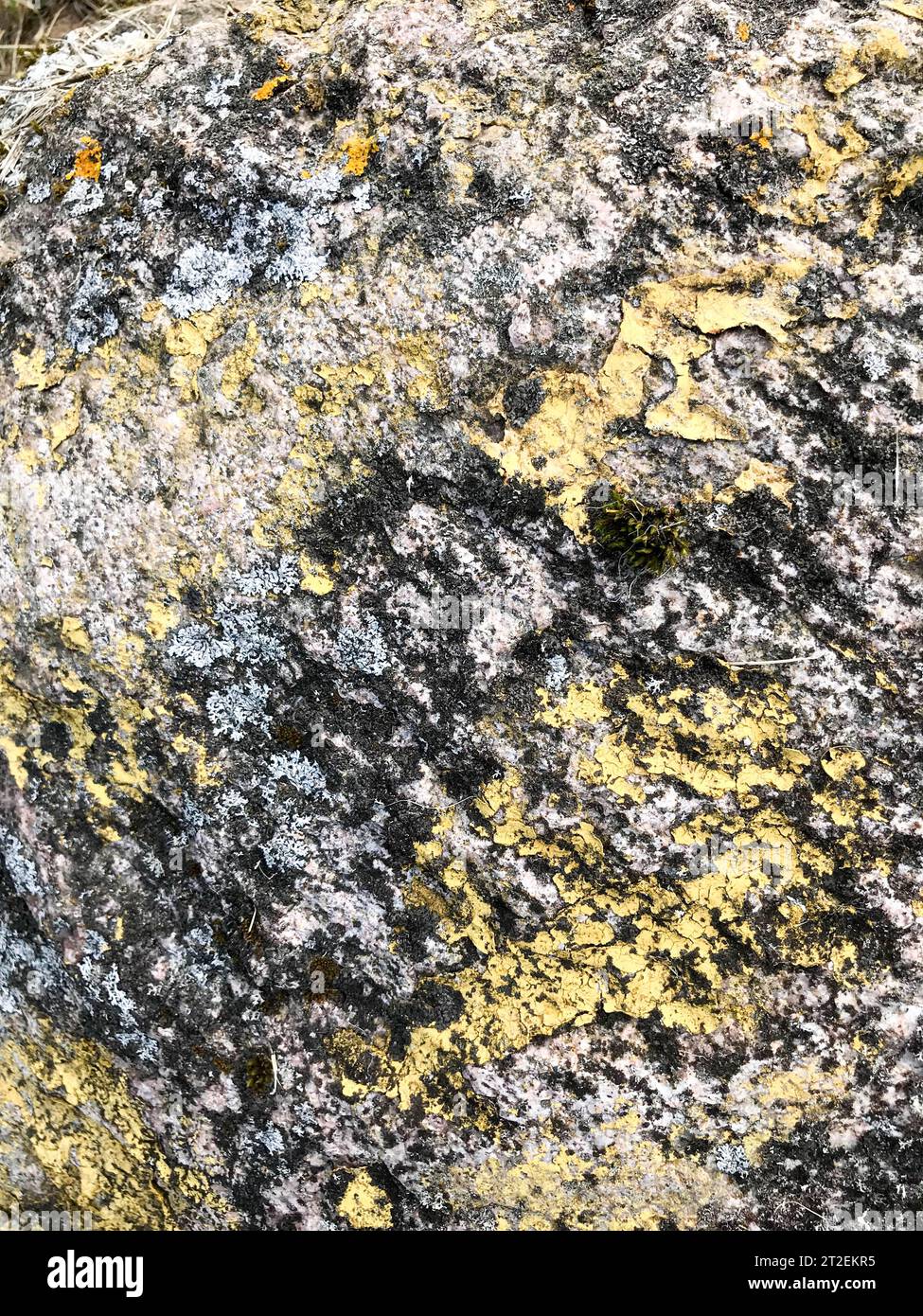 Texture of natural natural carved solid strong rough rough sharp ...