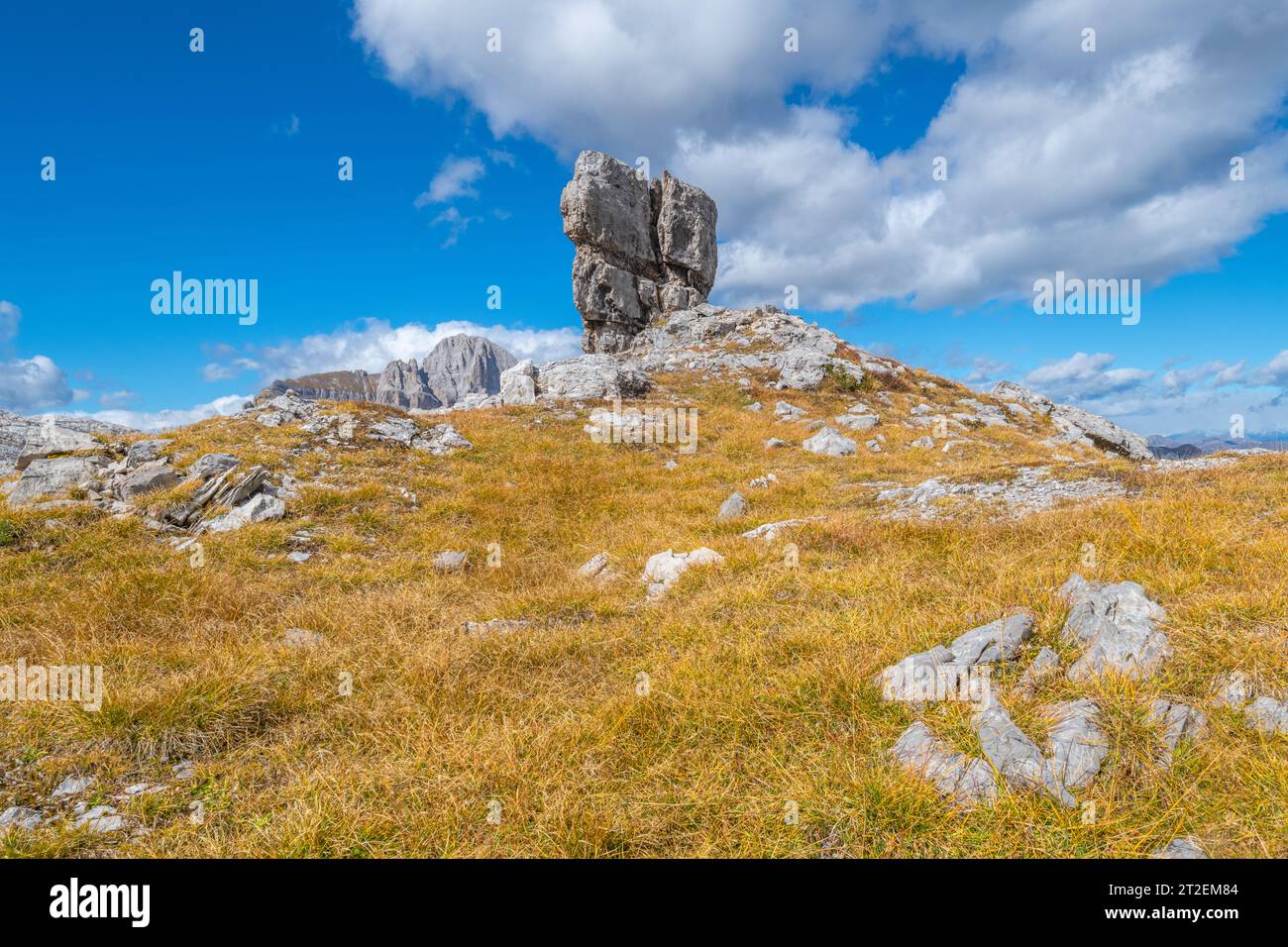 Large free standing limestone boulder on top of a small hill covered by ...