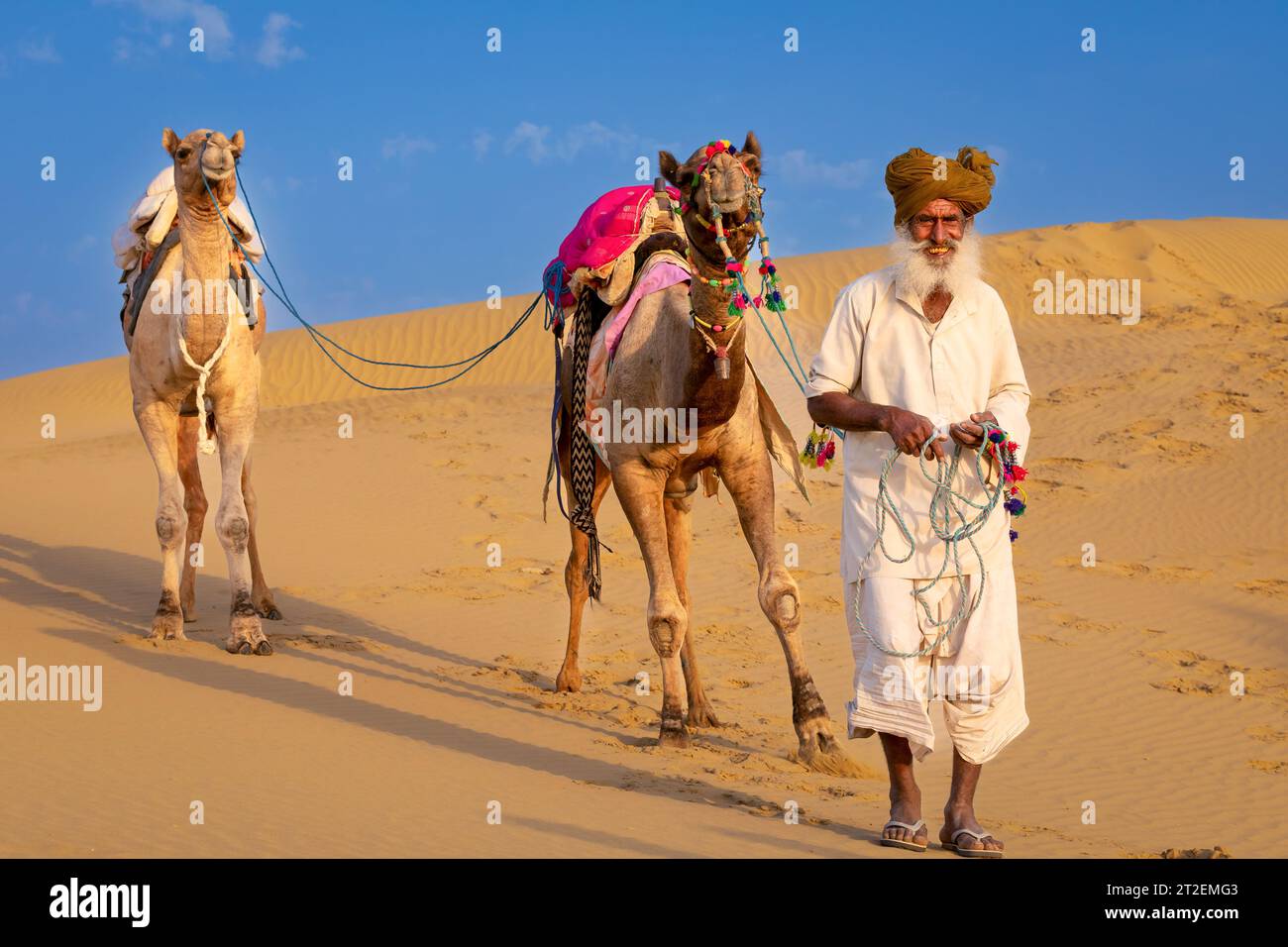 An old man with his camels, Thar desert, Rajasthan, India Stock Photo ...
