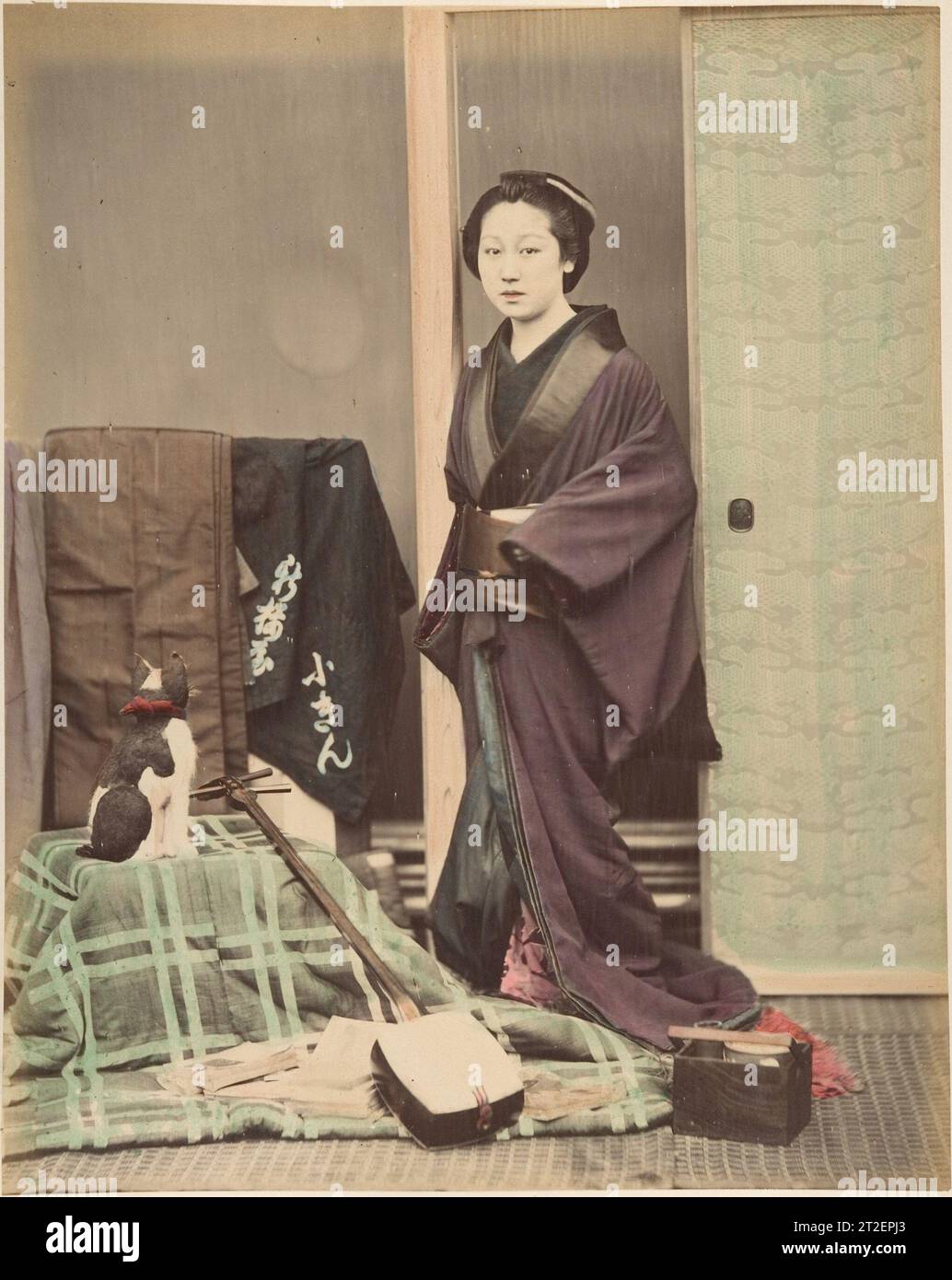 [Japanese Woman in Traditional Dress Posing with Cat and Instrument ...