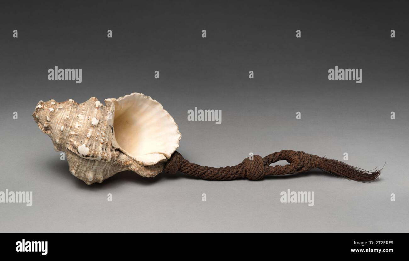 Conch Shell Trumpet (Davui) Fijian late 19th century As in many parts ...