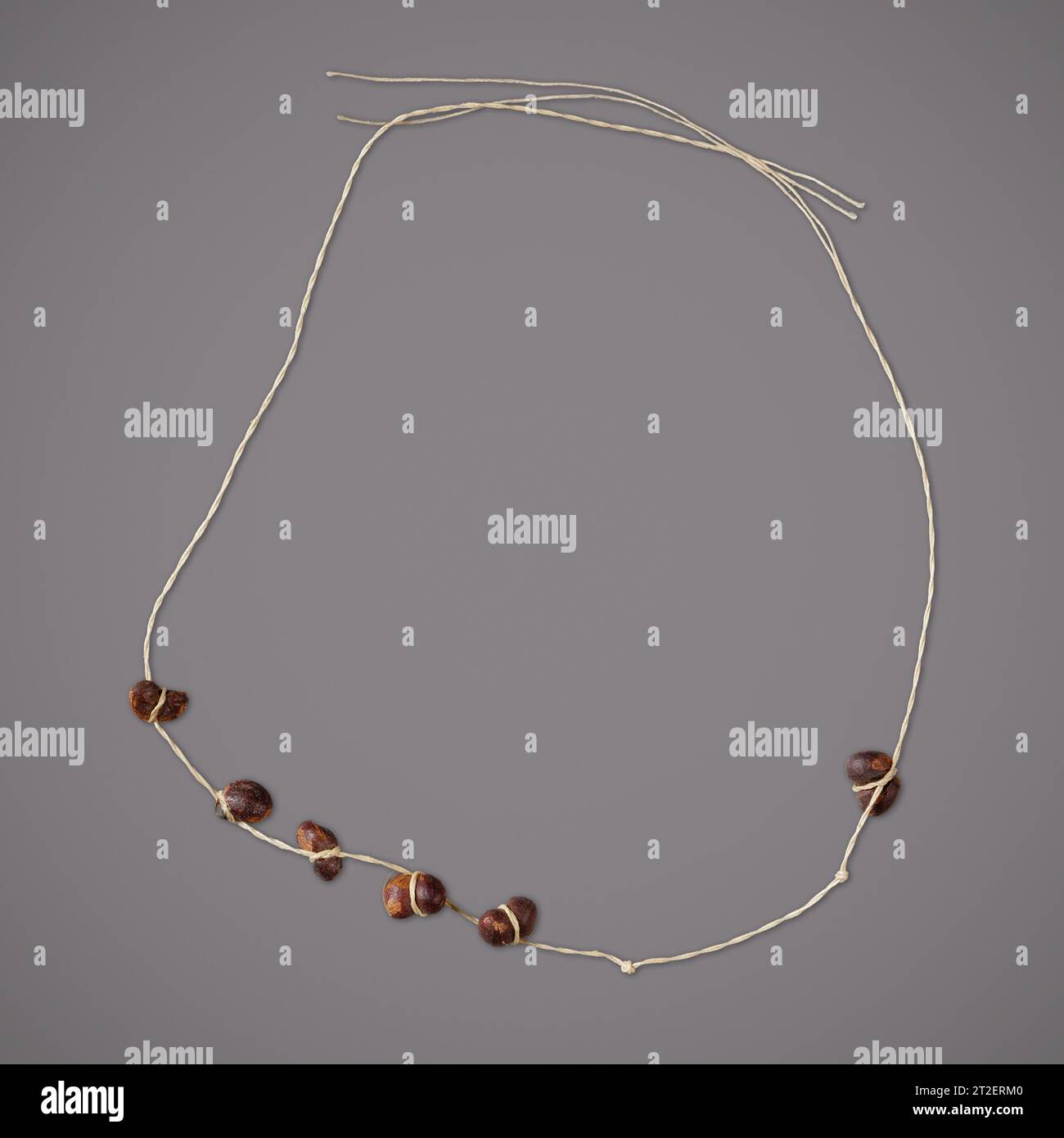 Kidney shaped seeds hi-res stock photography and images - Alamy