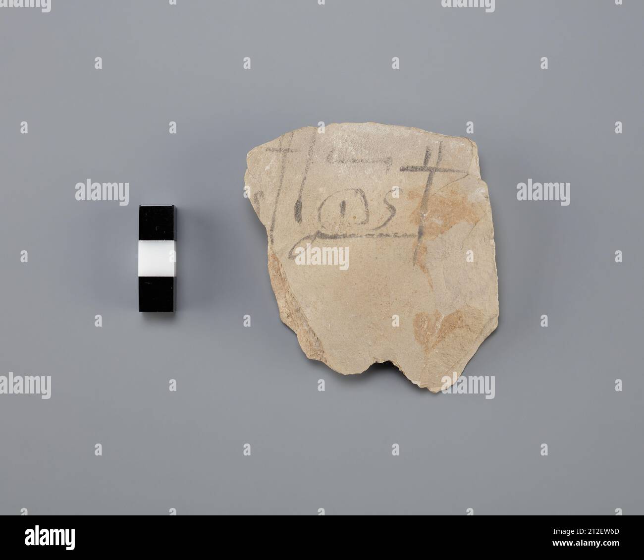 Ostracon with hieroglyph and hieratic New Kingdom, Ramesside ca. 1295 ...