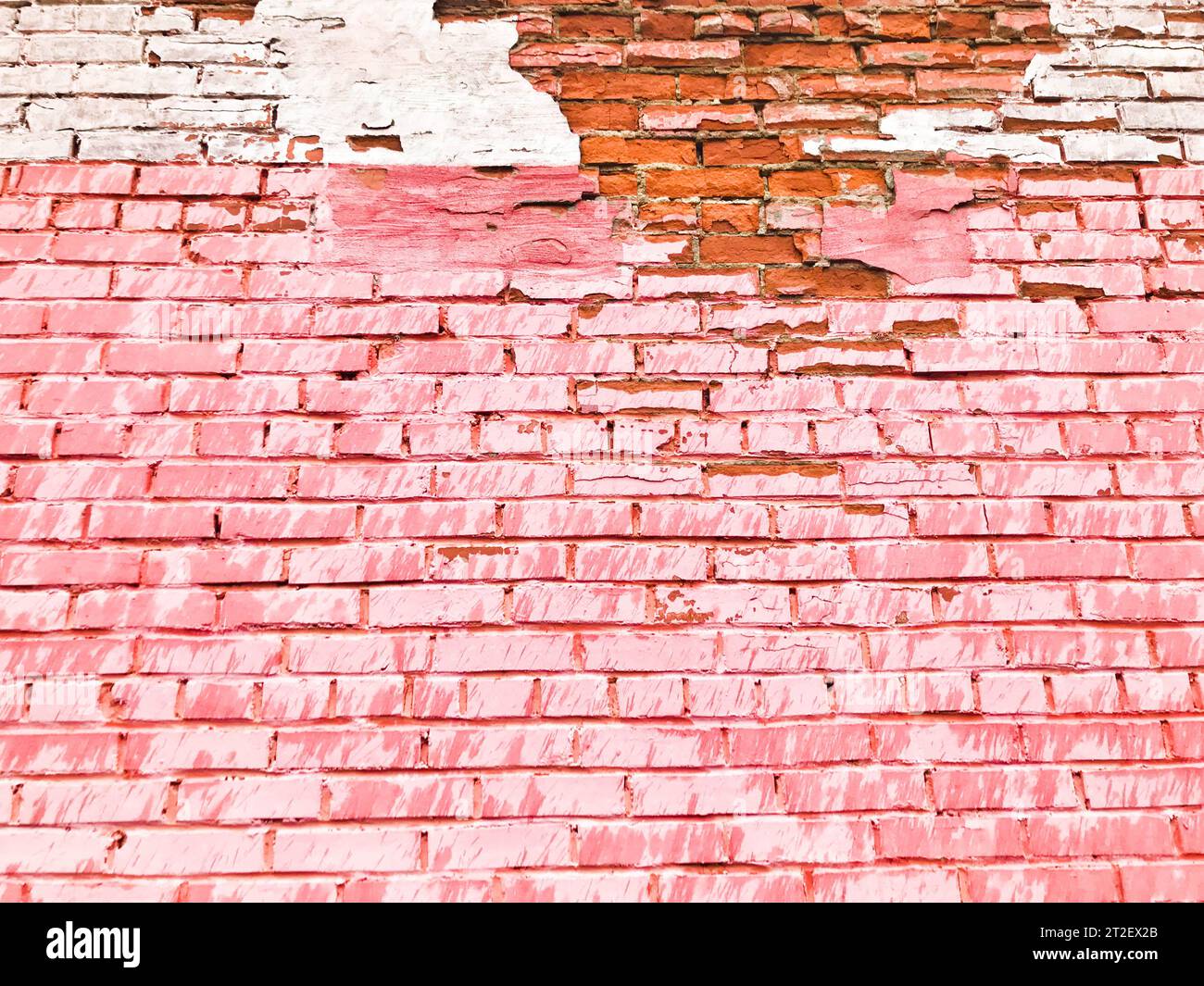 Texture of a beautiful unique unusual pink tender old cracked brick ...
