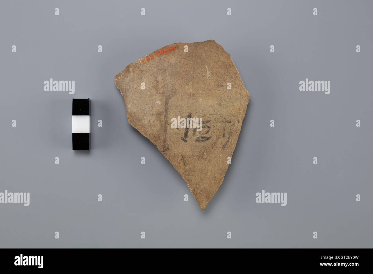 Ostracon New Kingdom ca. 1550–1295 B.C. Ostraca (plural for ostracon ...