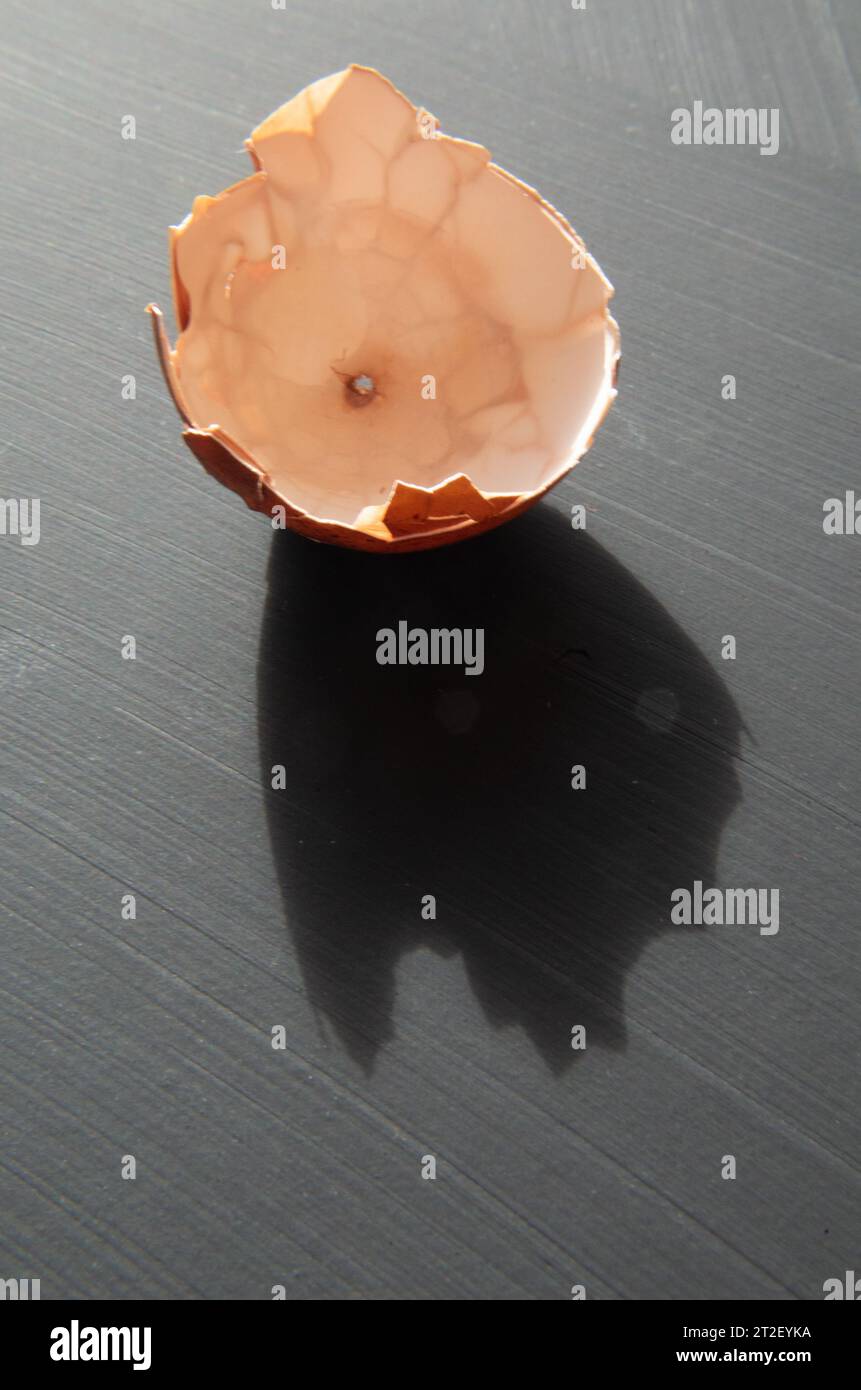 Eggshell. Empty Egg Stock Photo - Alamy