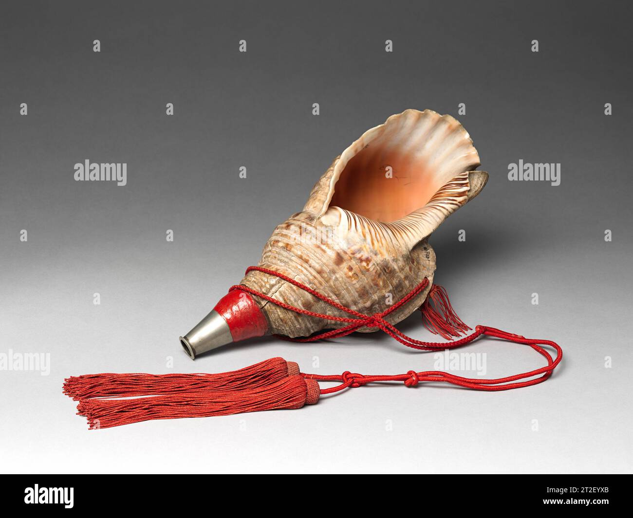 Conch shell india hi-res stock photography and images - Alamy