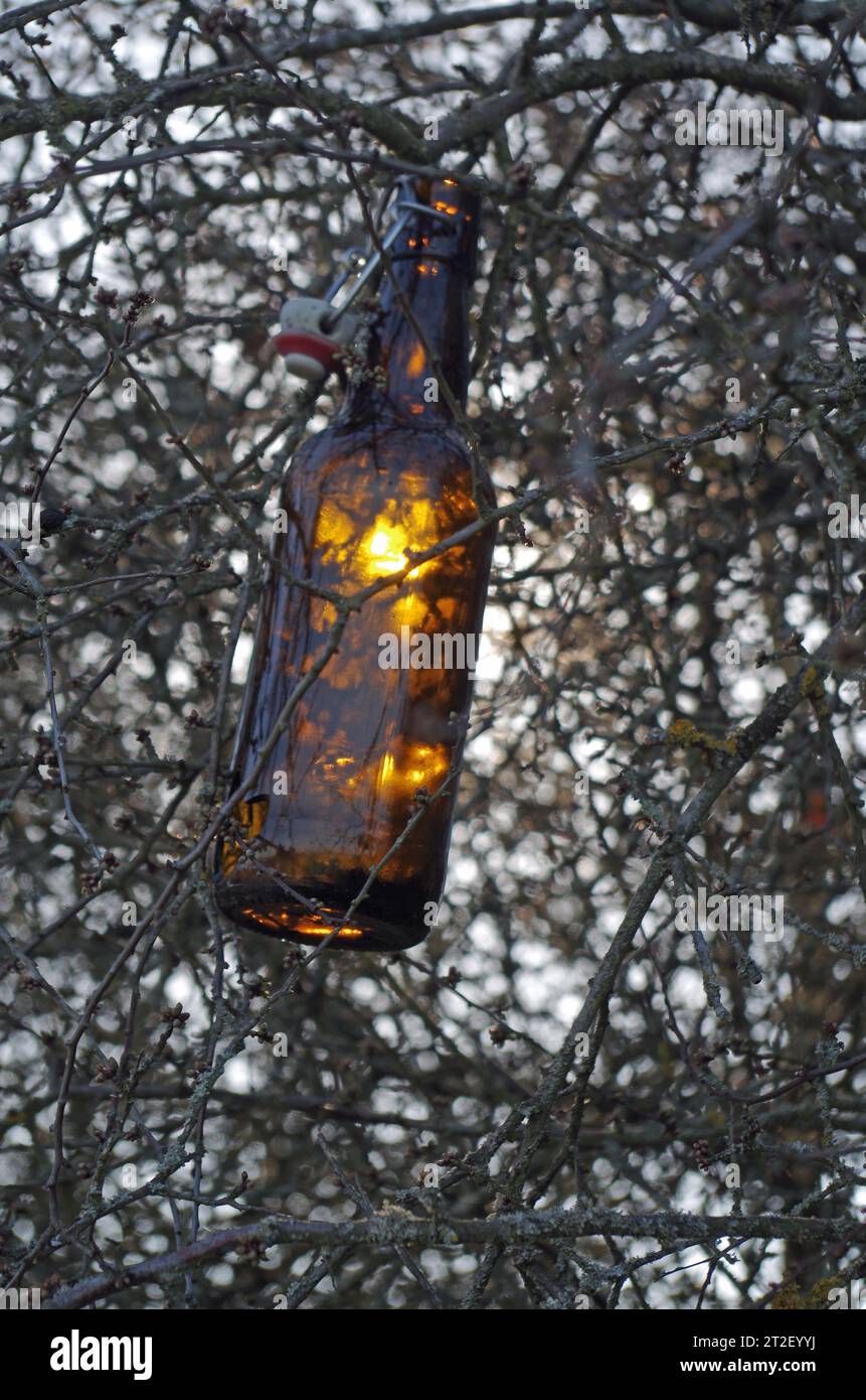 Empty beer bottle hi-res stock photography and images - Alamy