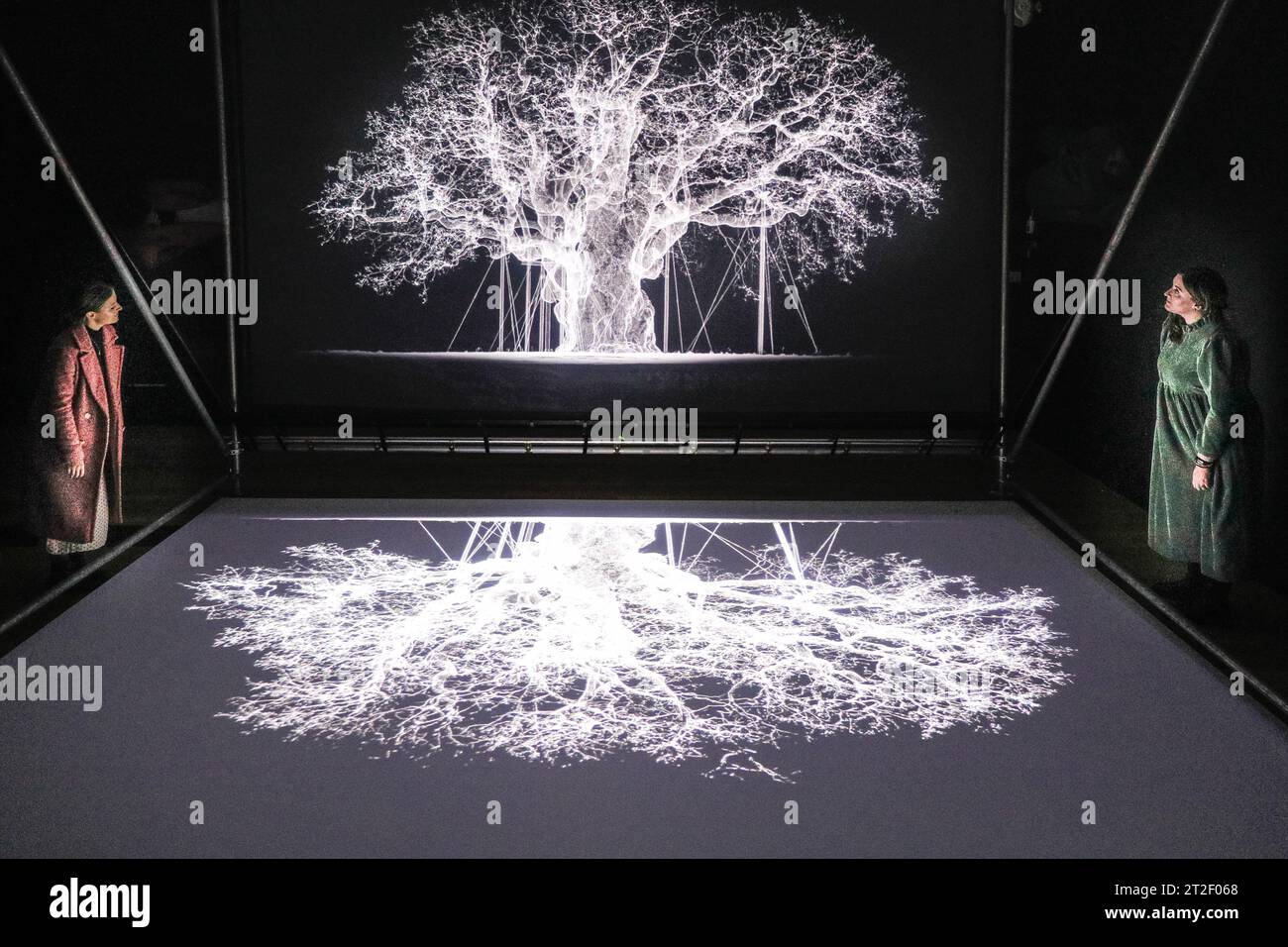 London, UK. 19th Oct, 2023. Kew staff with 'Albion', a large scale ...