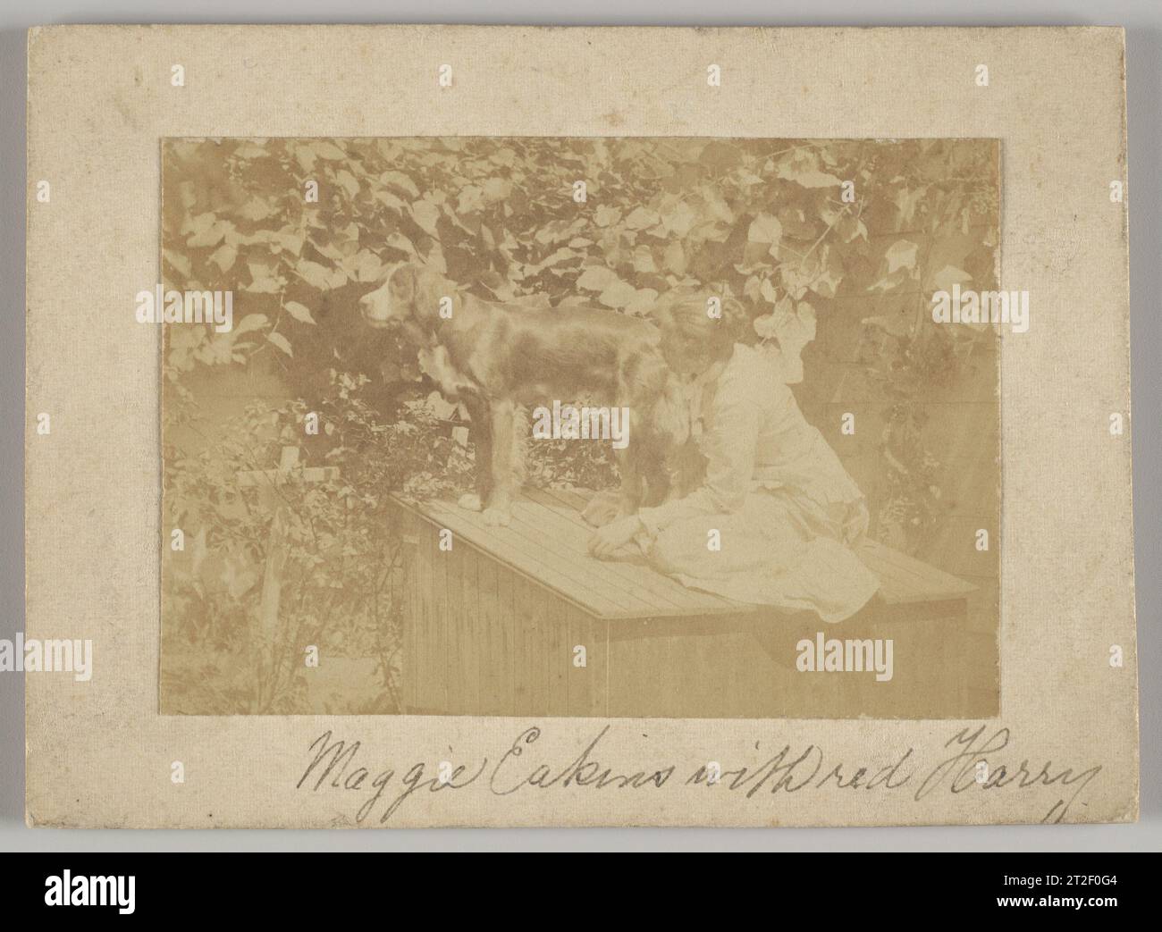 Maggie Eakins with "Harry" Thomas Eakins American 1880 View more. Maggie Eakins with "Harry ...