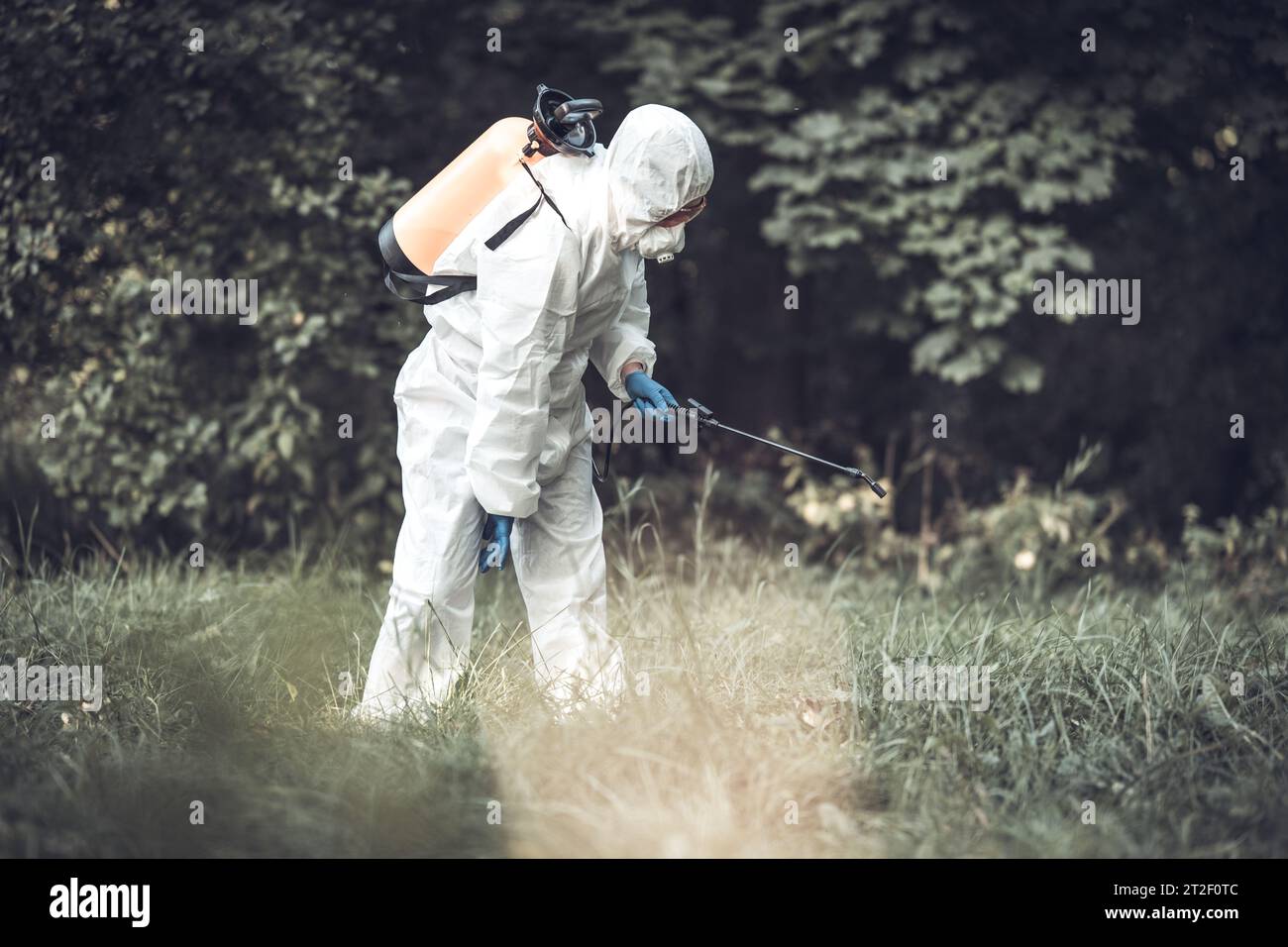 A worker sprays pesticides on trees outdoors. Tree pest control Stock ...
