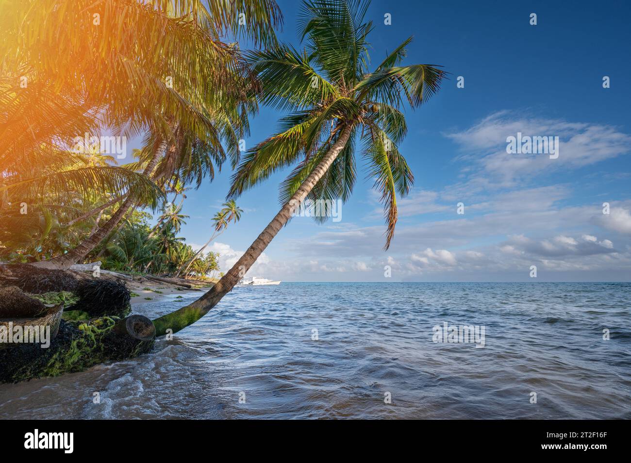 Tropical island theme background. Caribbean sea wallpaper Stock Photo ...