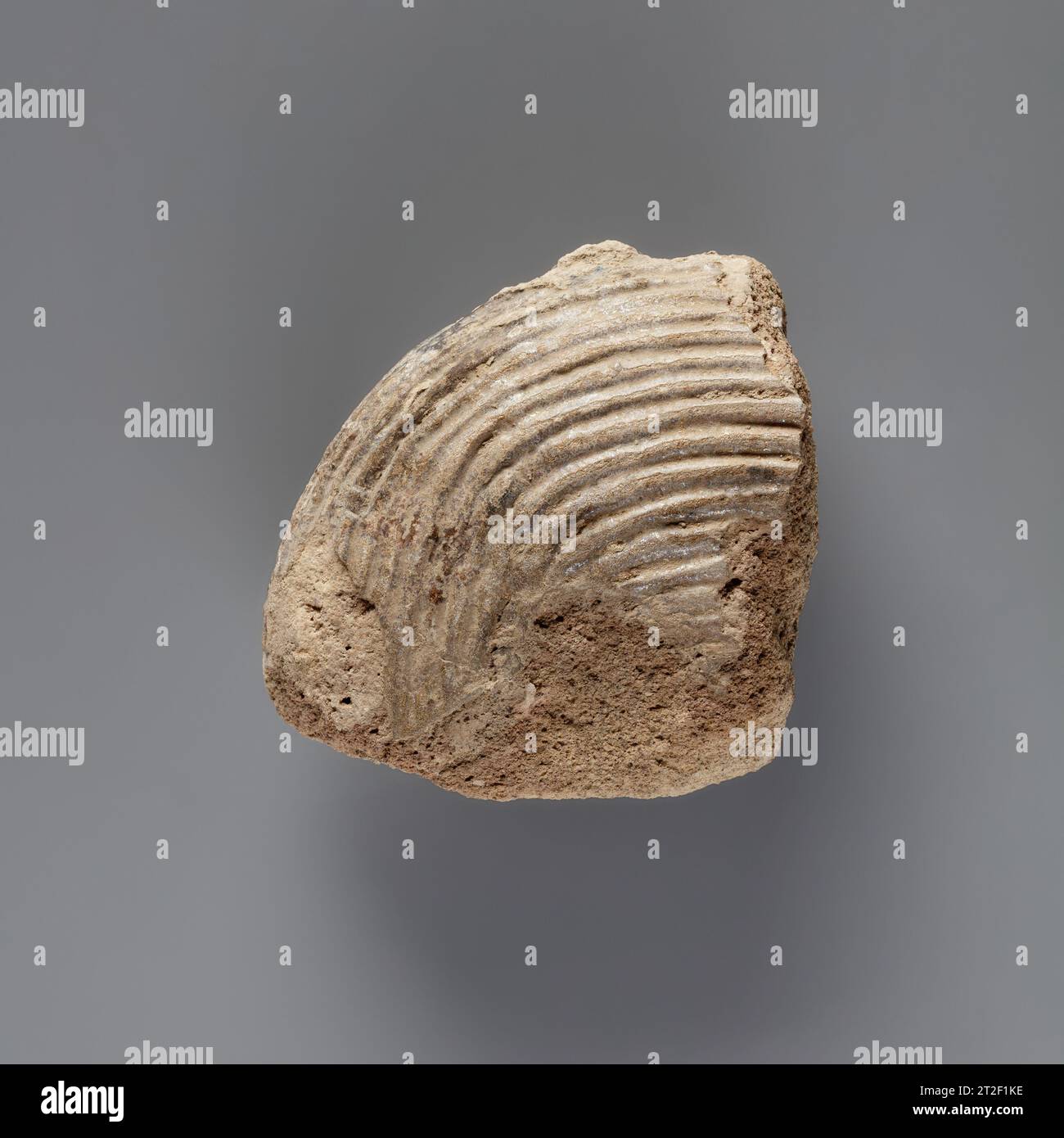 Ramesses ii egypt 19 dynasty hi-res stock photography and images - Alamy