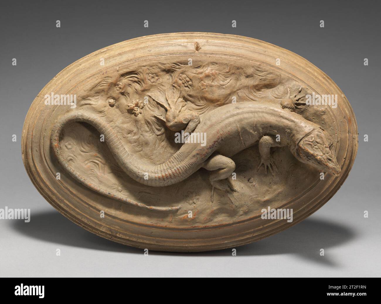 Frogs snakes hi-res stock photography and images - Alamy