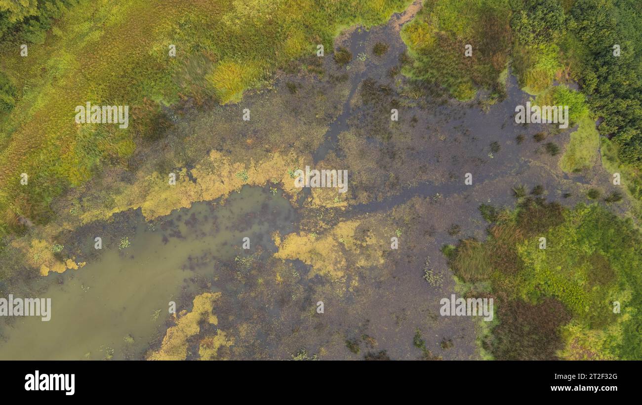 Top view of the lake and swamp , beautiful nature view Stock Photo - Alamy