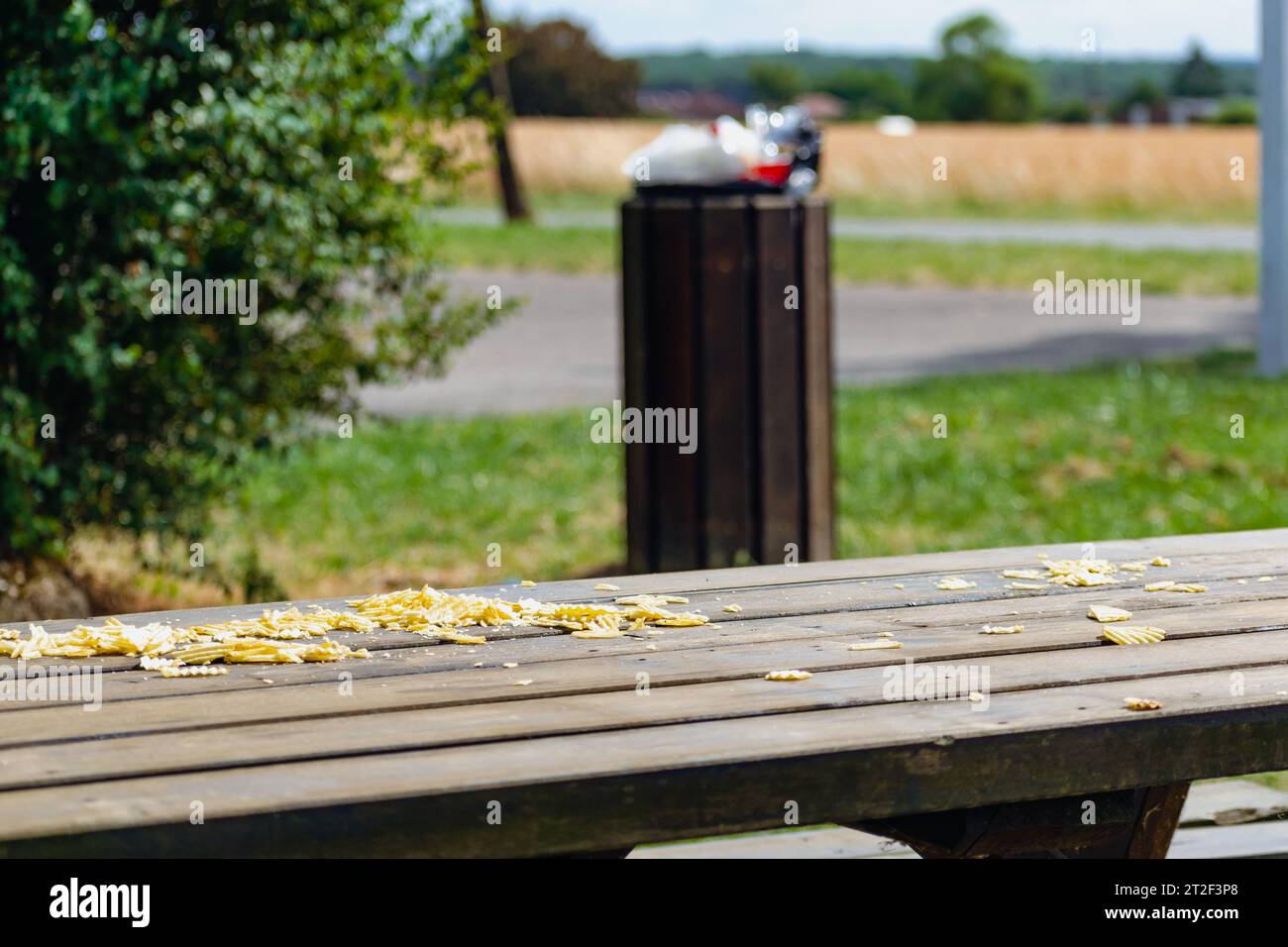Overflowing public rubbish bin at a park hi-res stock photography and ...