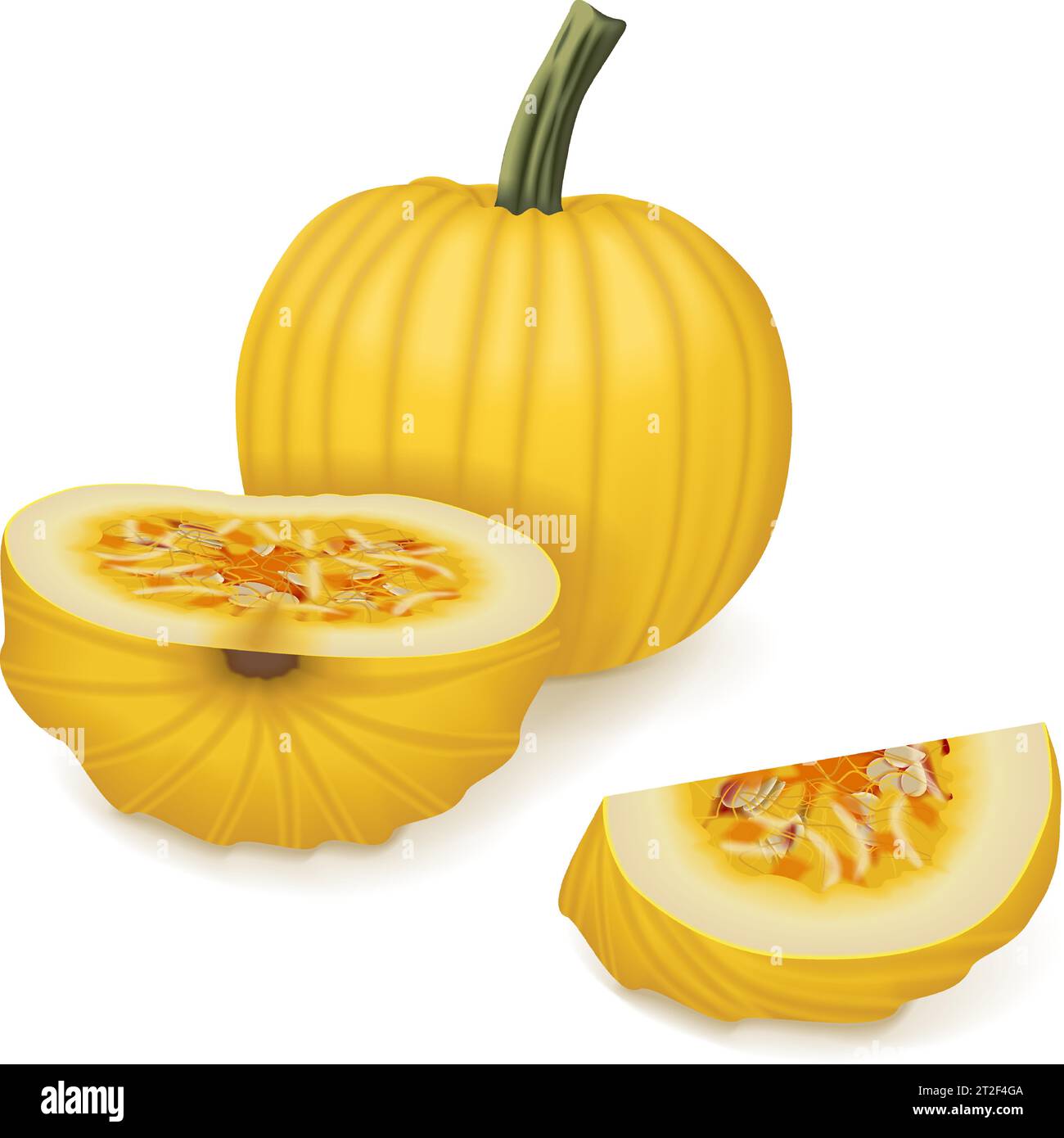 Whole and chopped Mellow Yellow Pumpkin. Winter squash. Cucurbita pepo ...