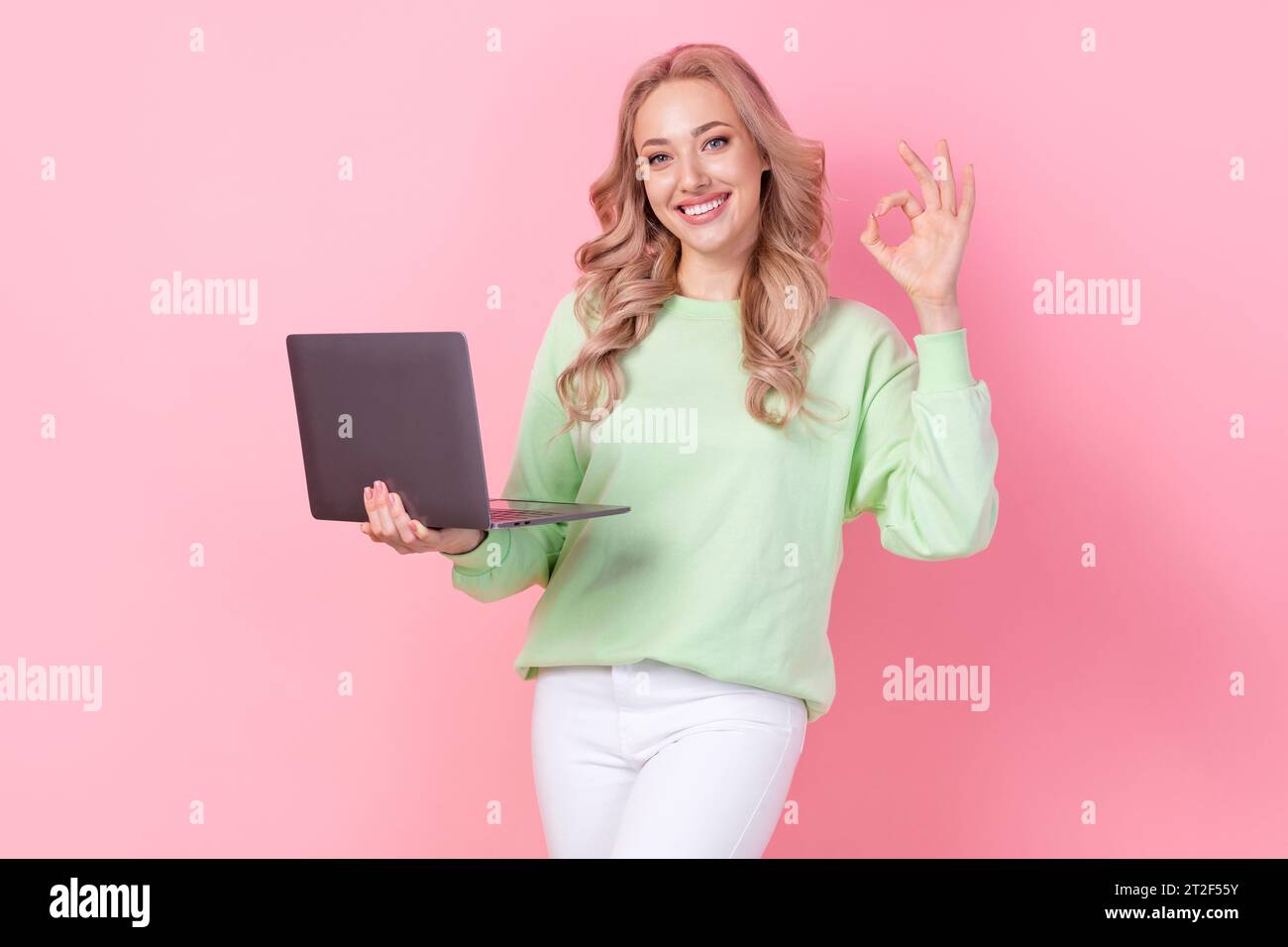 Photo of charming girl programmer show okey sign recommendation every ...