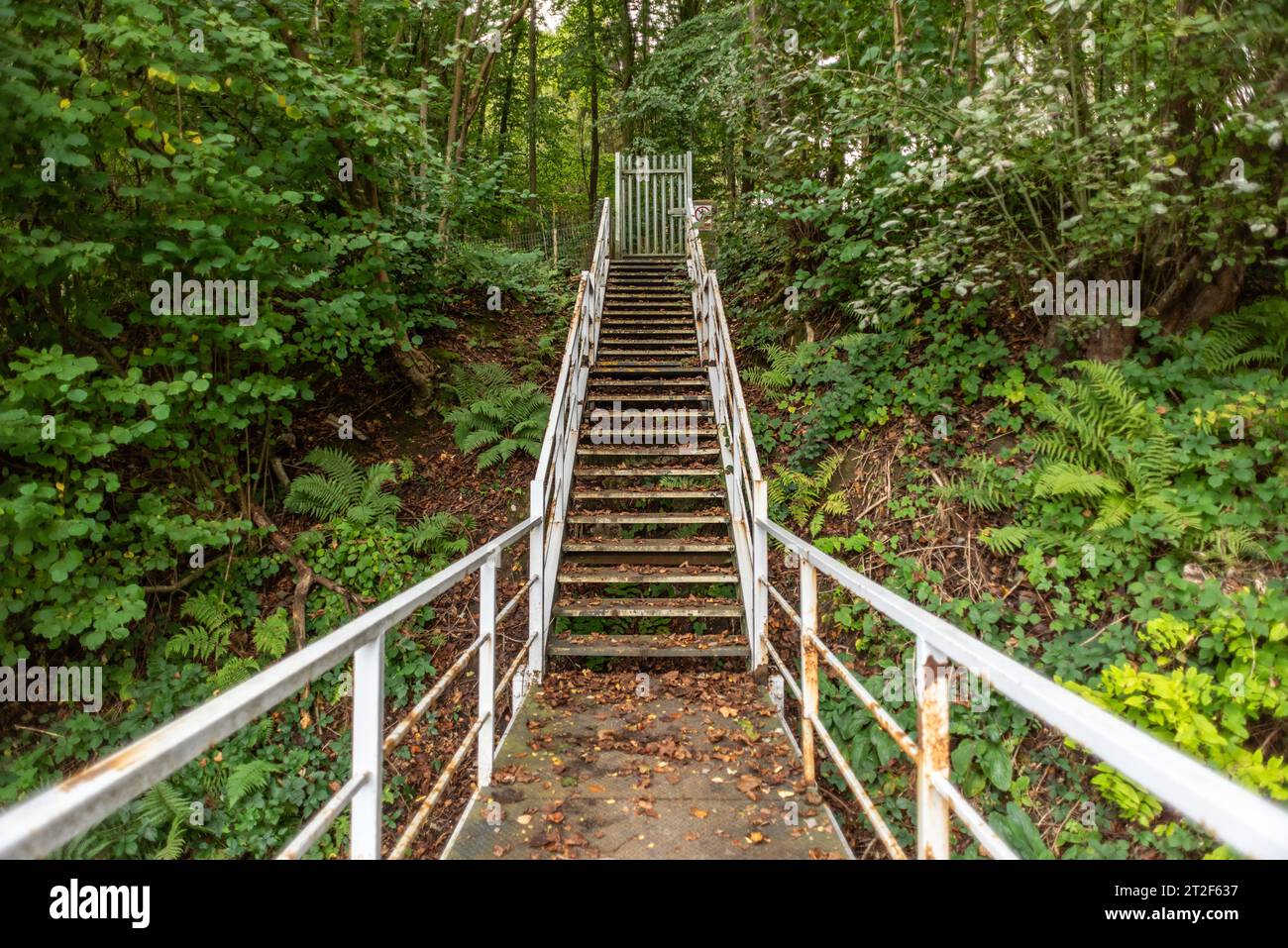 Wadhurst, October 16th 2023: Wadhurst railway station Stock Photo - Alamy