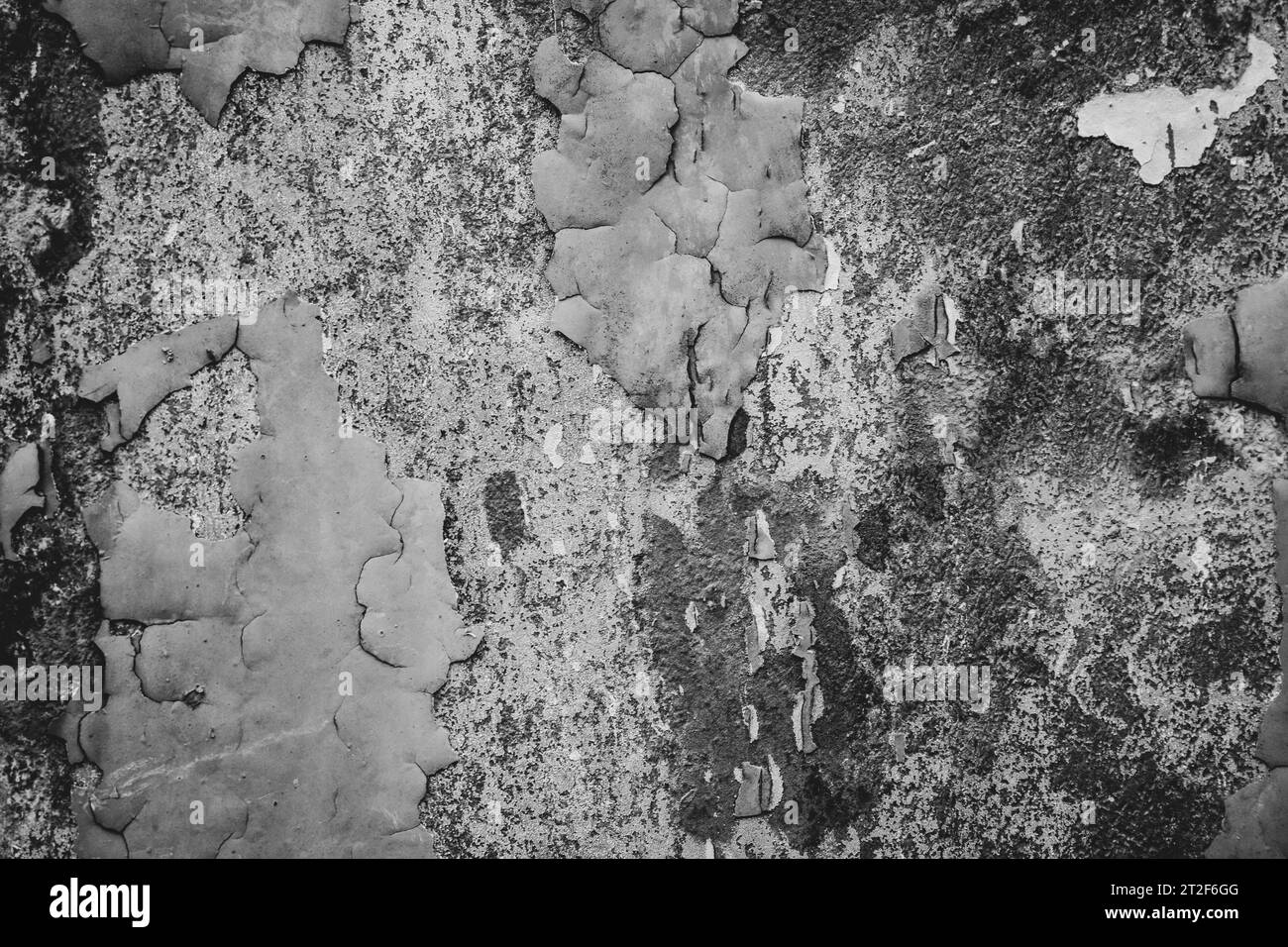 Flaked, peeling metal in close up black and white Stock Photo - Alamy