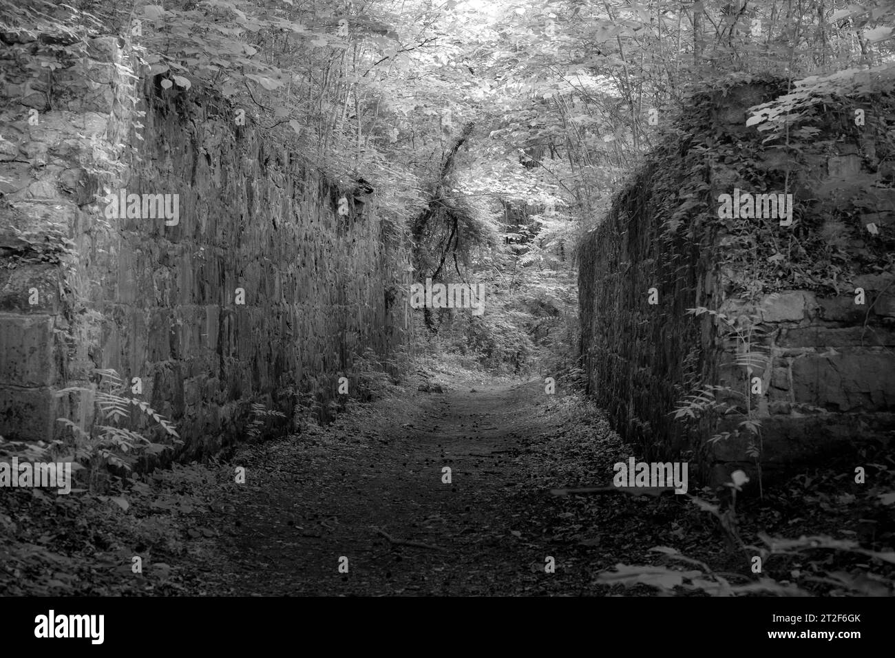 Dry ruins of Landsford Canal in Sotuh Carolina Stock Photo - Alamy