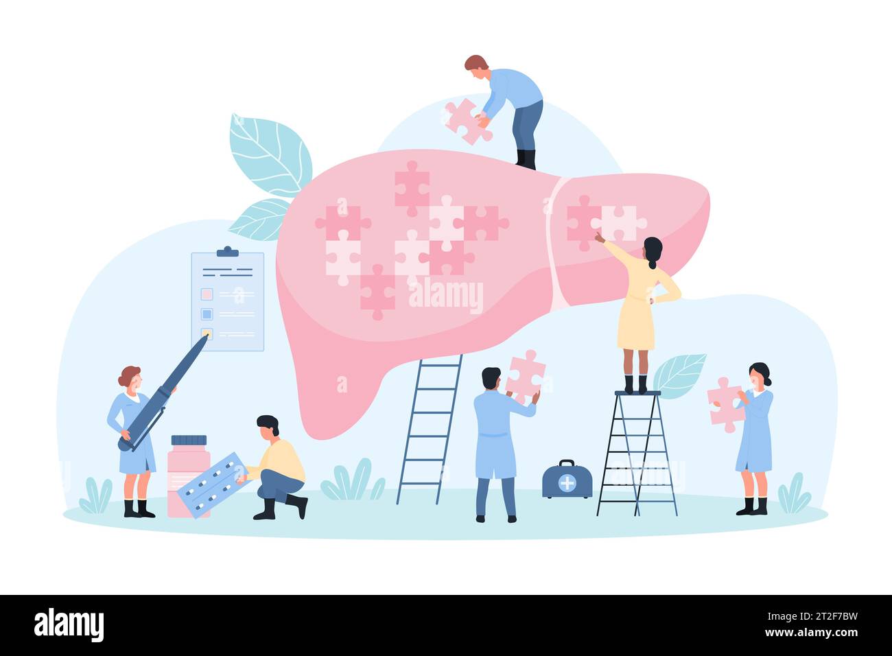 Liver disease diagnosis and treatment, hepatology vector illustration ...